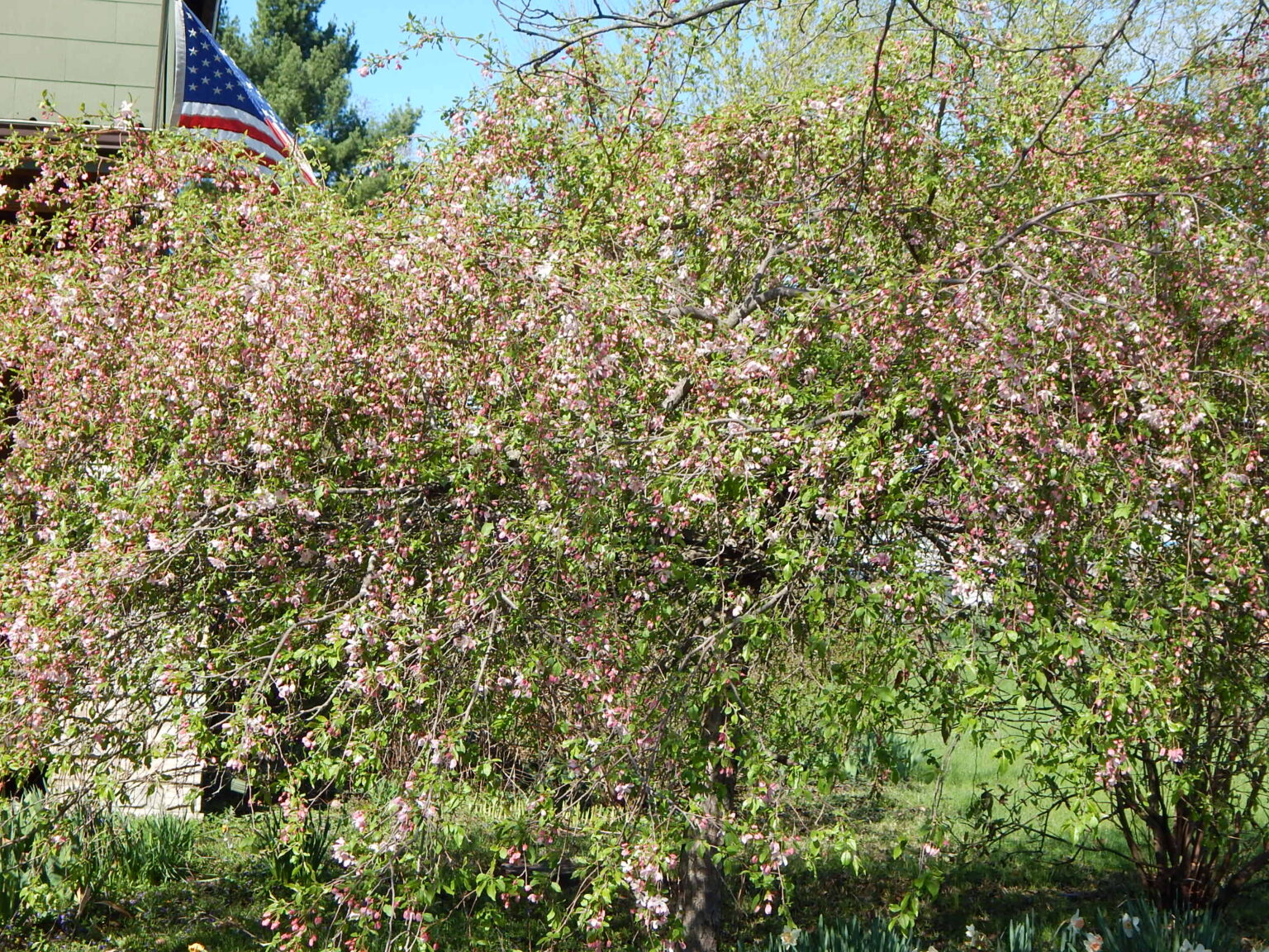 Snicklefritz | So glad you came. Come sit a spell and read about the ...